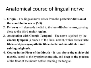 Lingual nerve and Its prosthodontic considerations | PPTX