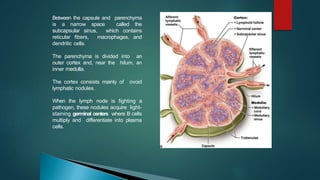 approach to lymph node cytology part 1 | PPTX