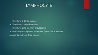 approach to lymph node cytology part 1 | PPTX