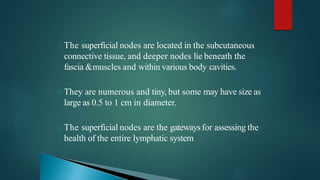 approach to lymph node cytology part 1 | PPTX