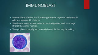 approach to lymph node cytology part 1 | PPTX