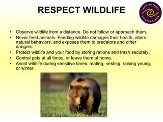 Leave No trace Ethics | PPT