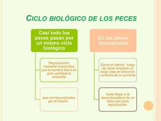 ciclo biológico de los seres vivos | PPTX
