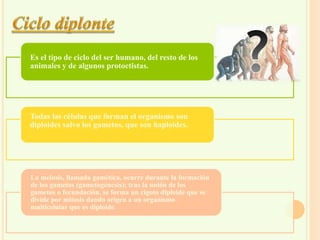 ciclo biológico de los seres vivos | PPTX