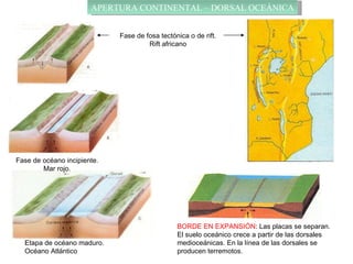 Lo elemental de la tectónica de placas | PPT