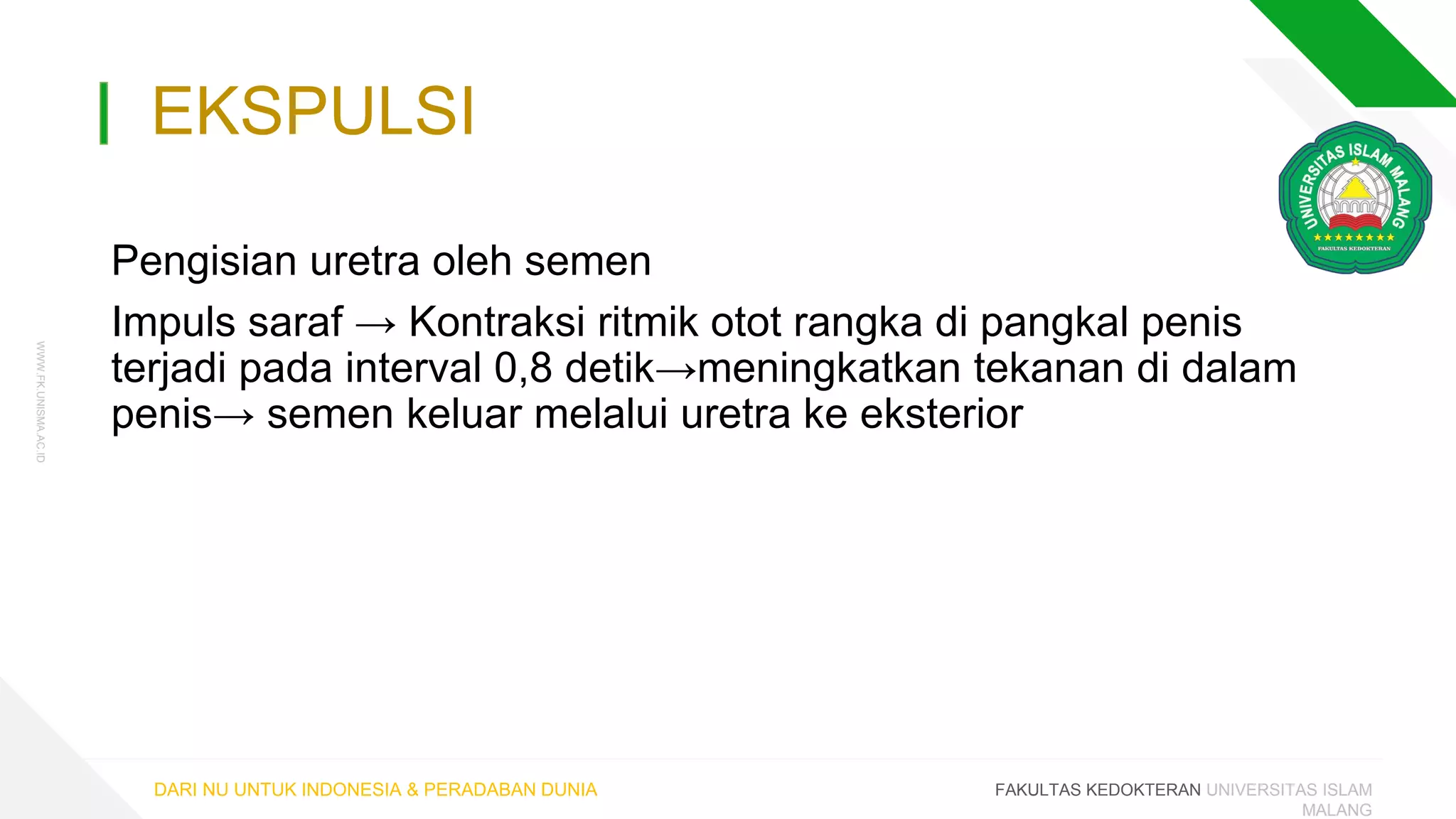 lo 3 (B) FISIOLOGI EREKSI EJAKULASI.pptx