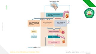lo 3 (B) FISIOLOGI EREKSI EJAKULASI.pptx