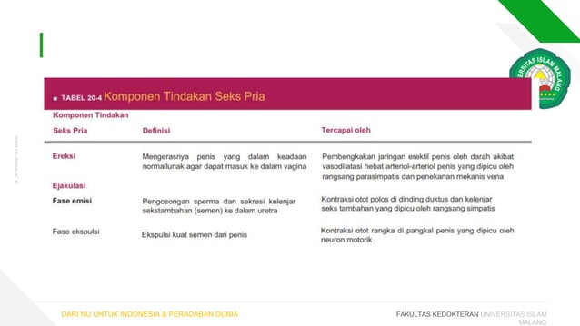 lo 3 (B) FISIOLOGI EREKSI EJAKULASI.pptx
