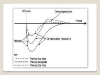 Sports Training : Load and adaptation | PPTX