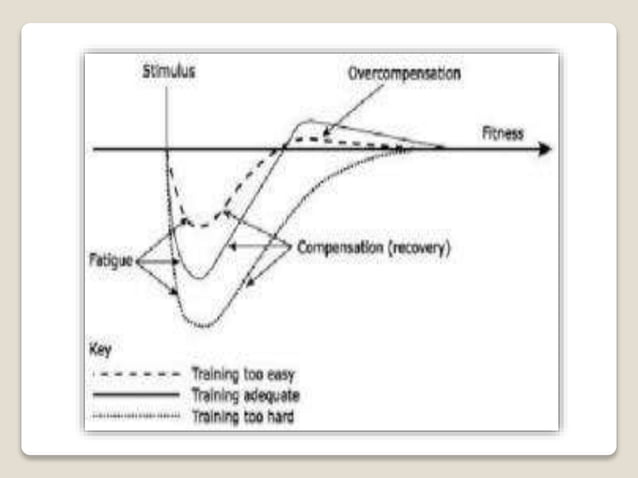 Sports Training : Load and adaptation | PPTX | Sports