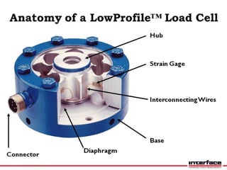 Load Cell 101 Webinar Slides | PDF