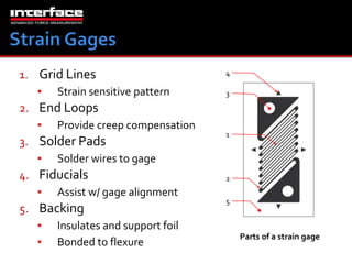 Load Cells 101 Presentation | PPTX
