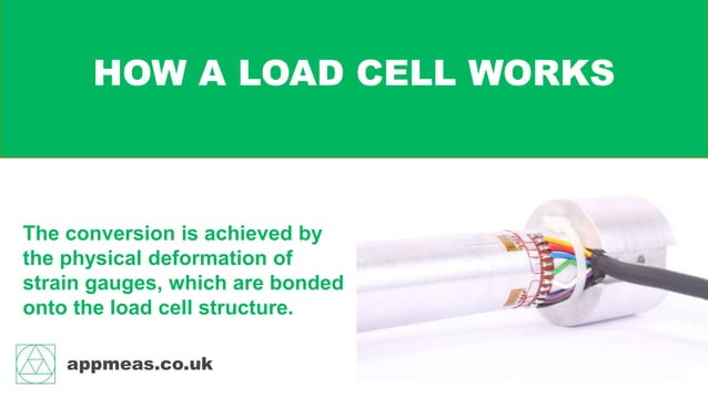 Load Cells Explained | PPTX | Physics | Science
