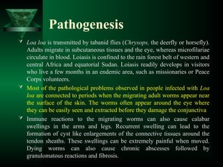 Comprehensive Overview of Loa loa: Epidemiology, Pathogenesis, and ...