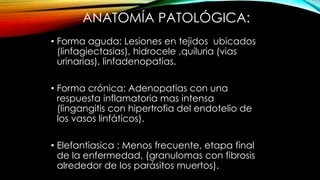 filariasis Loa loa (loiasis) | PPTX