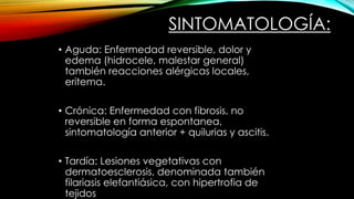 filariasis Loa loa (loiasis) | PPTX