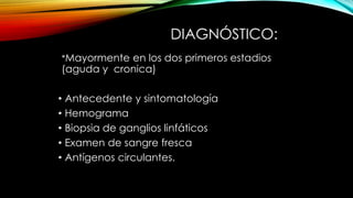 filariasis Loa loa (loiasis) | PPTX