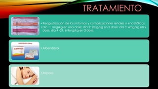 filariasis Loa loa (loiasis) | PPTX