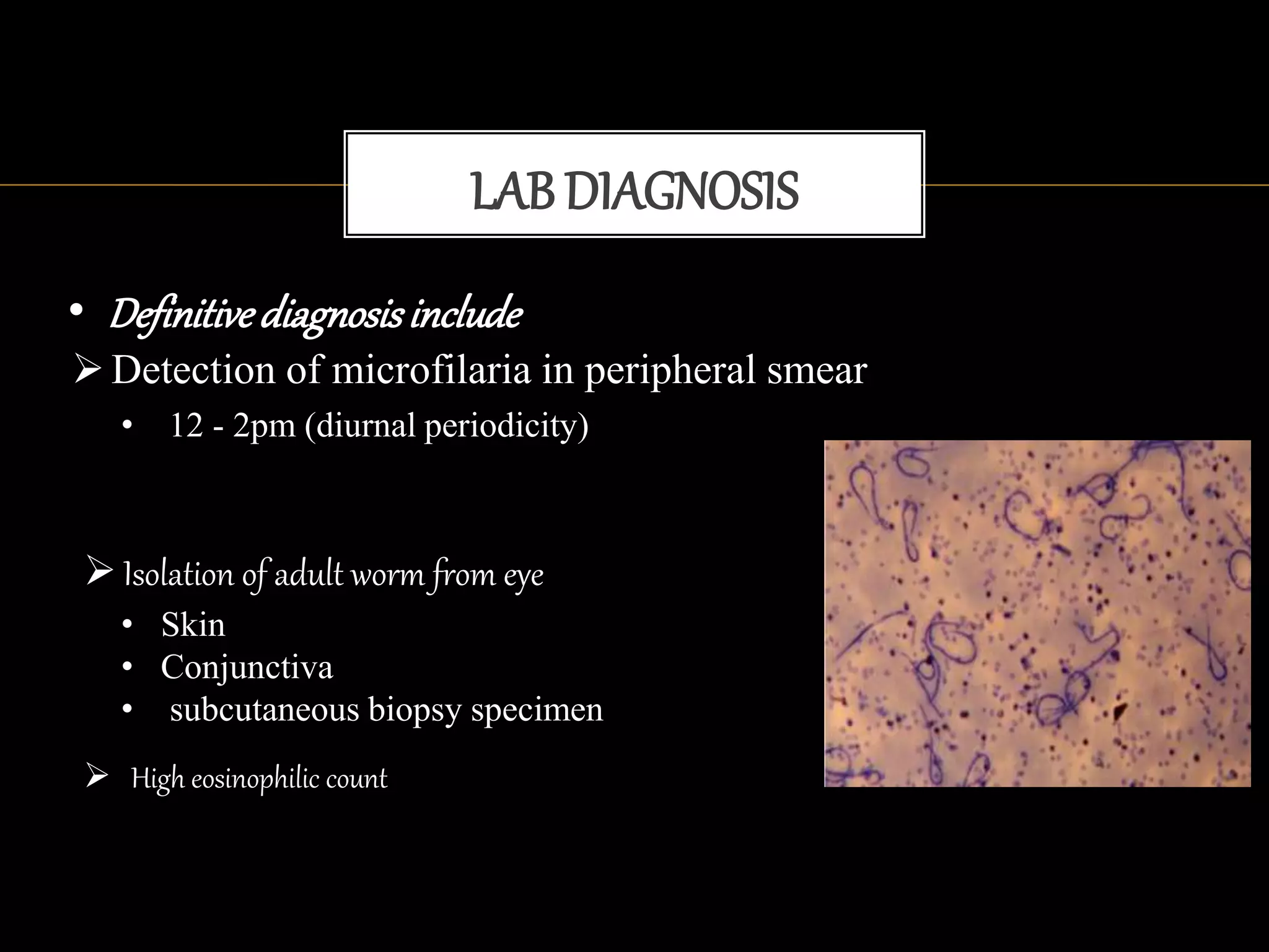 Loa loa parasitology | PPTX