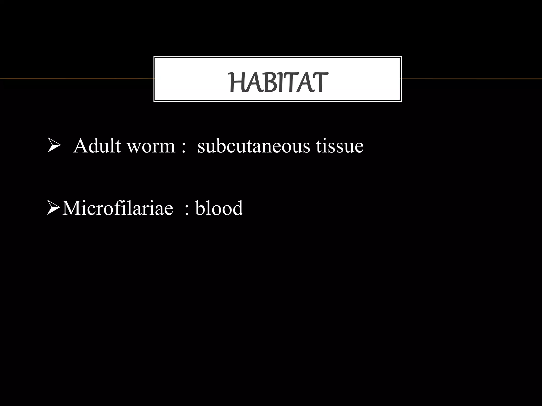 Loa loa parasitology | PPTX