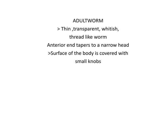 loa loa pptx.pptx africa eye worm loiasis | PPT