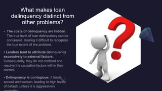 Loan Delinquency Report.pptx