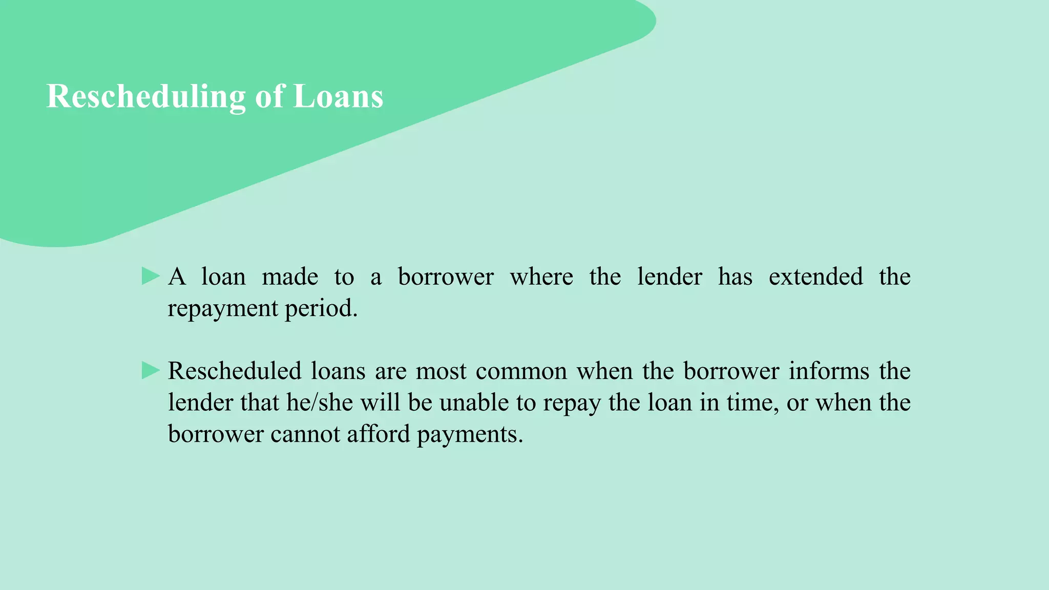 Loan Management.pdf