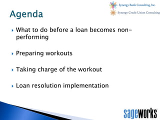 Loan Workout 101 for Financial Institutions | PDF