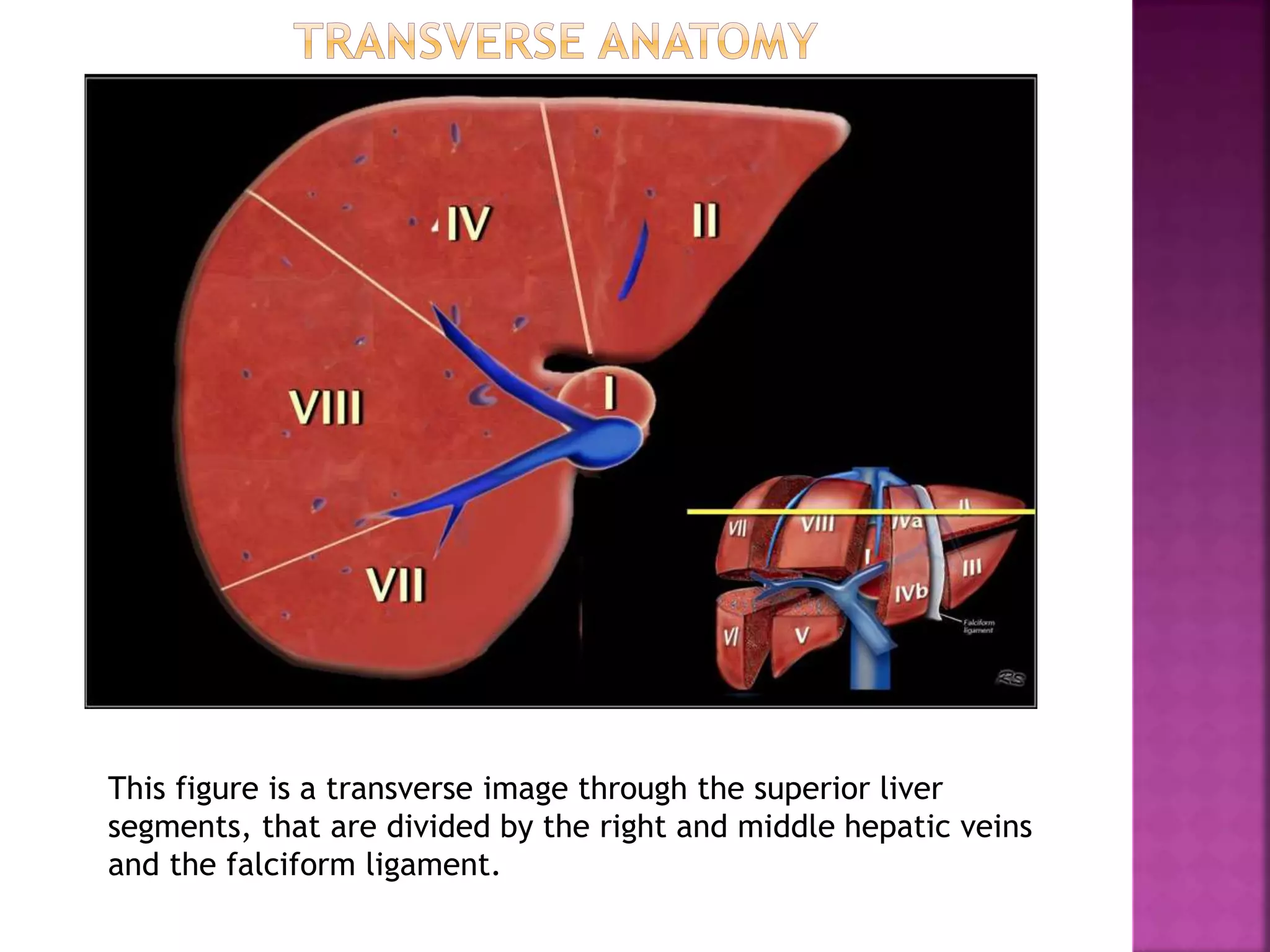 lobar anatomy liver radiology.pptx