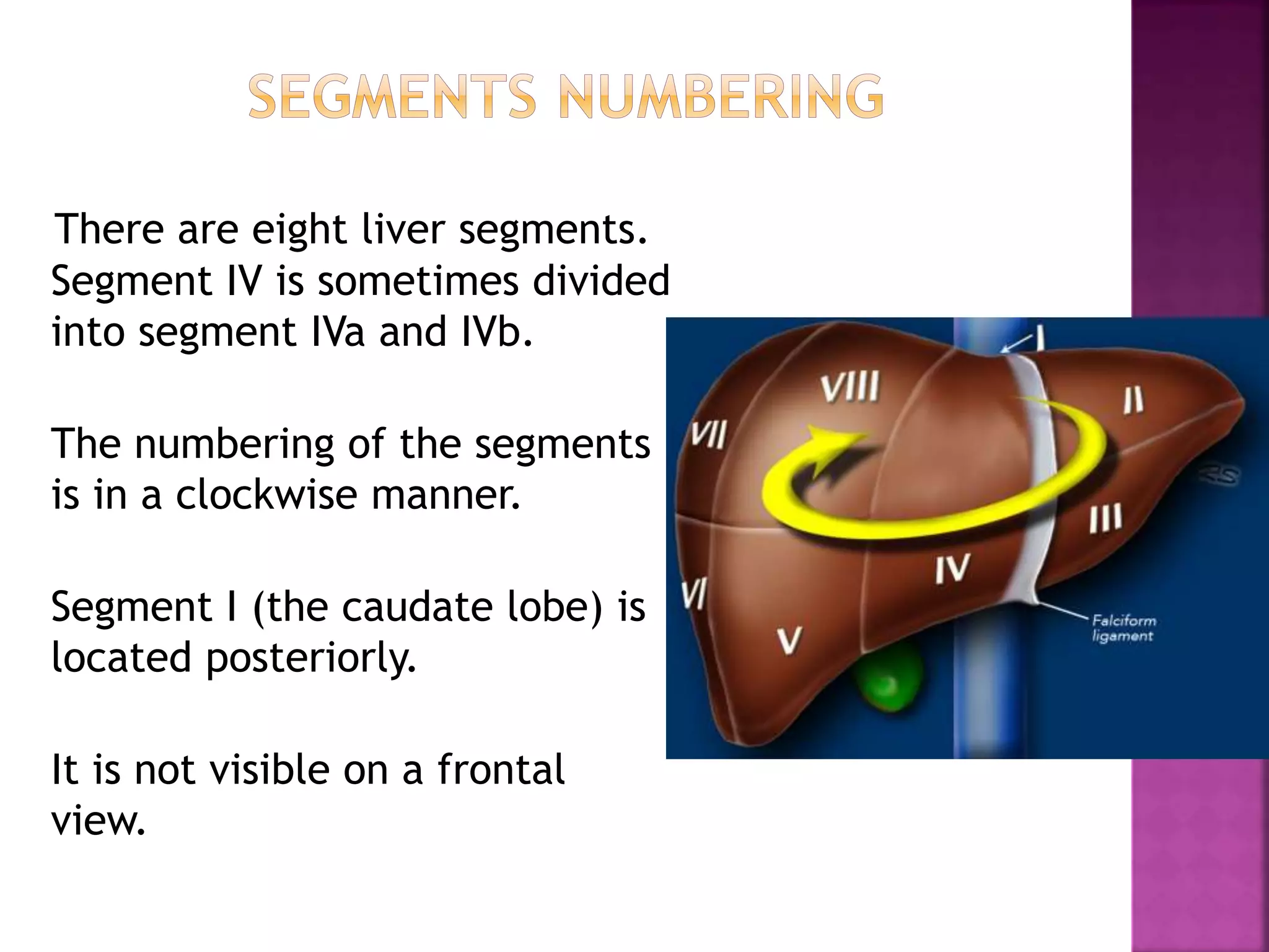 lobar anatomy liver radiology.pptx