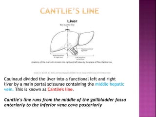 lobar anatomy liver radiology.pptx