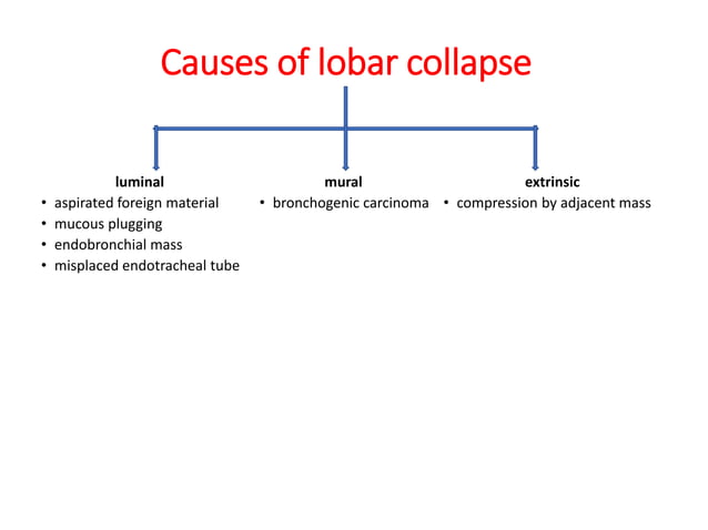 lobar collapse xray.pptx