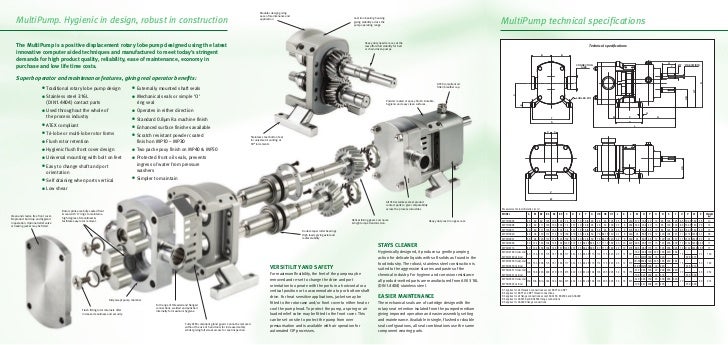 Lobe Pump Assembly