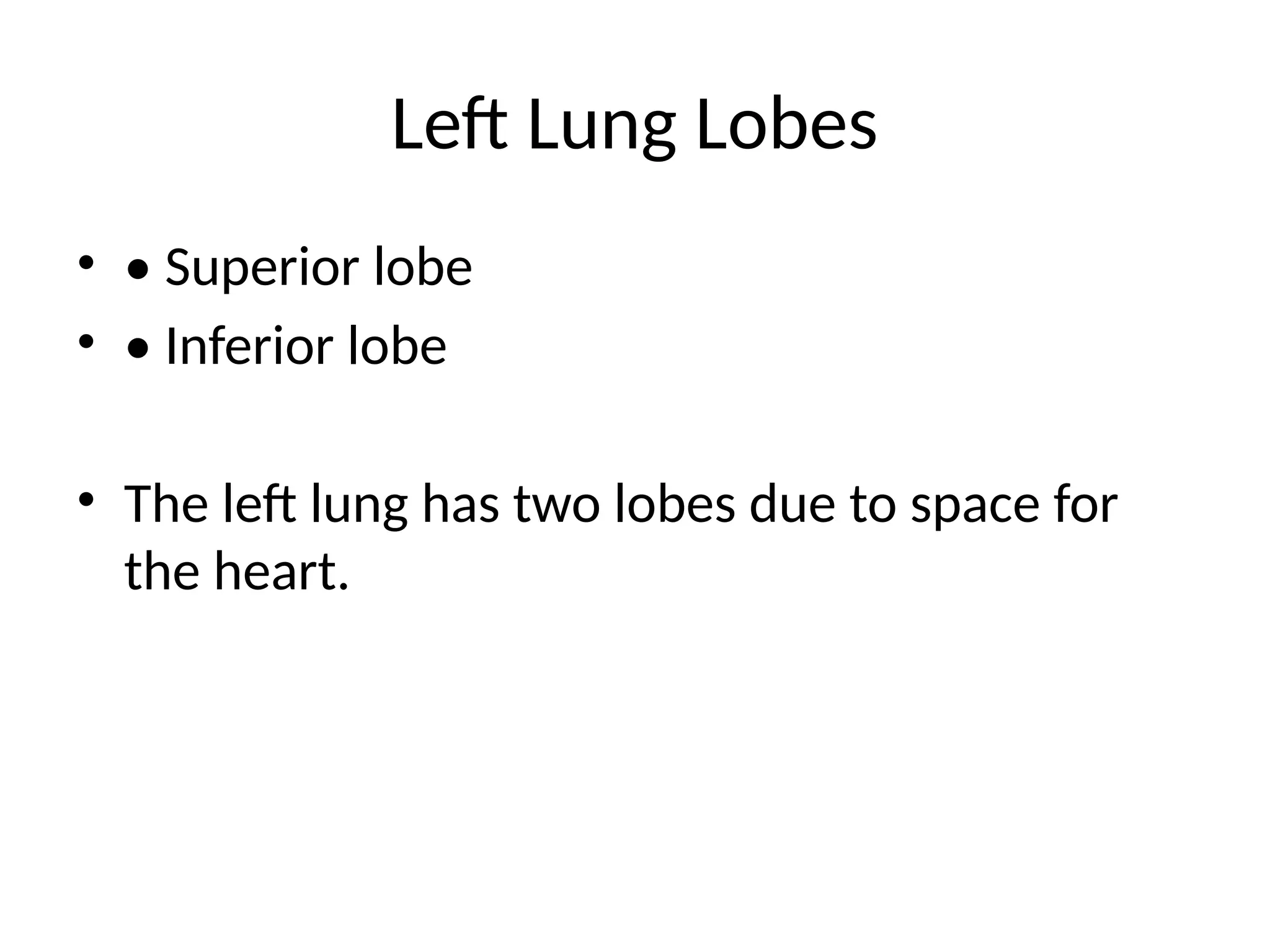 lobes_fissures_lung_ppt.pptx lobes and fissures | PPTX