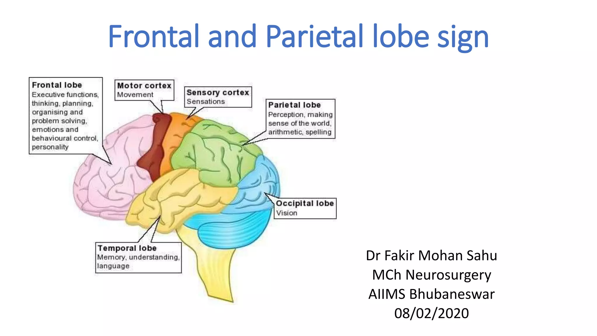Frontal and Parietal Lobe sign | PPTX