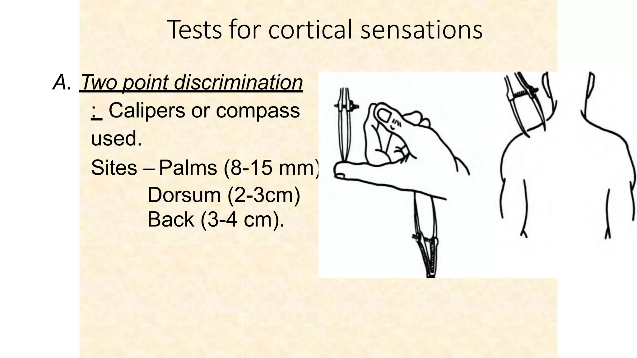 Frontal and Parietal Lobe sign | PPTX