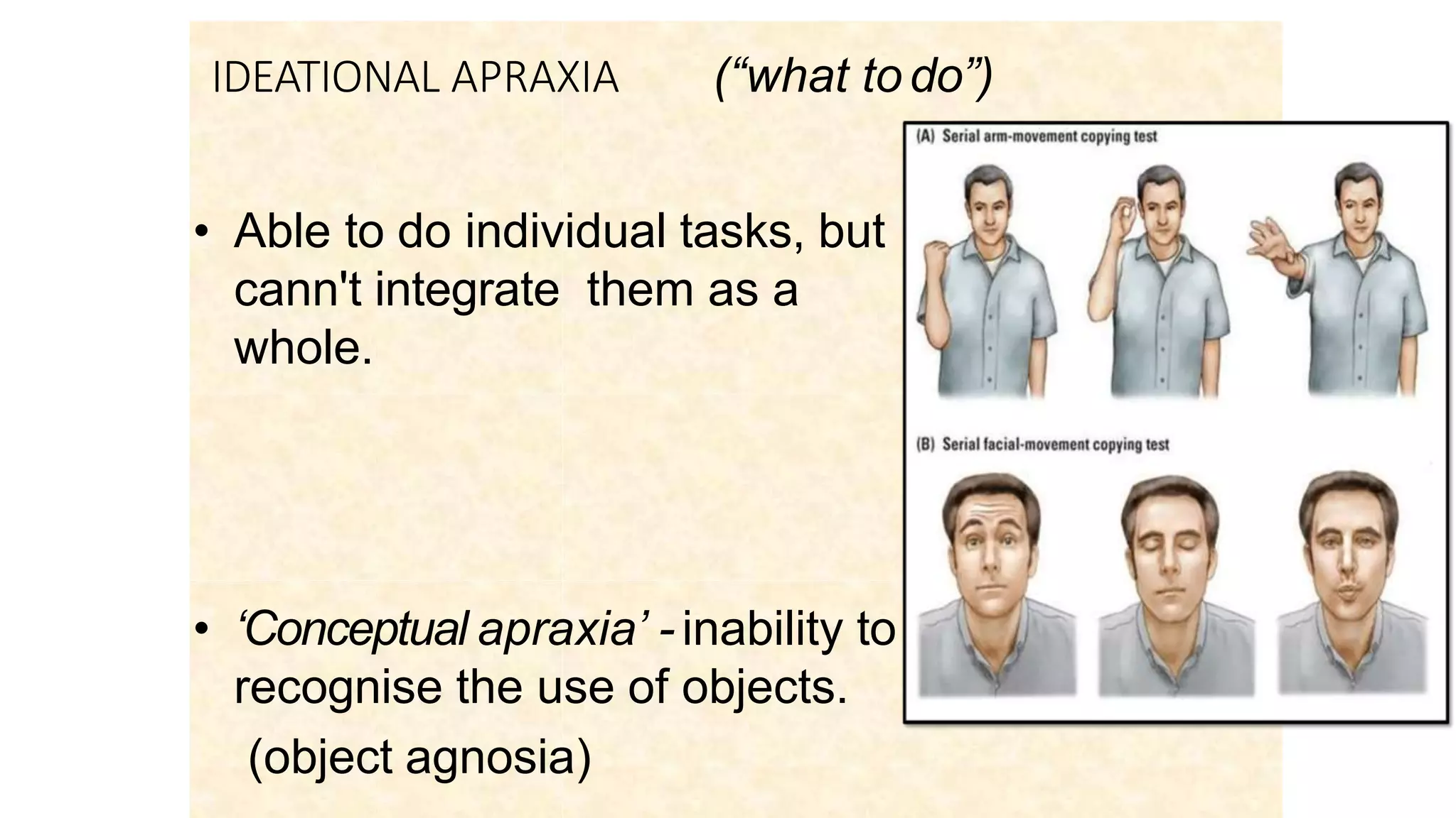 Frontal and Parietal Lobe sign | PPTX