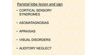 Frontal and Parietal Lobe sign | PPTX