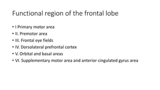 Frontal and Parietal Lobe sign | PPTX