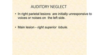 Frontal and Parietal Lobe sign | PPTX