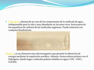 Lo bioelementos | PPTX