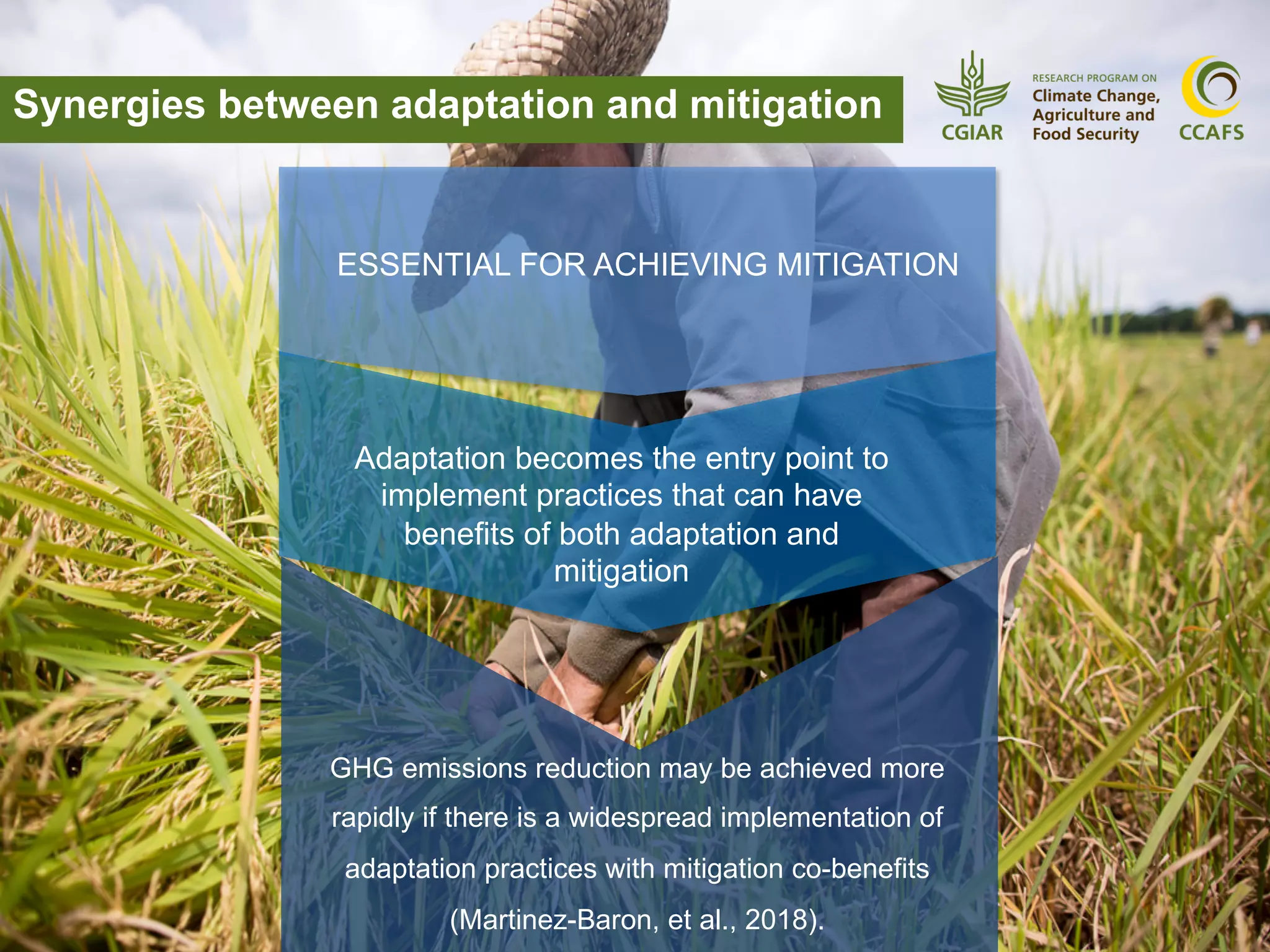 Cost and implementation of mitigation in agriculture | PDF