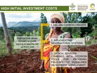 Cost and implementation of mitigation in agriculture | PPT