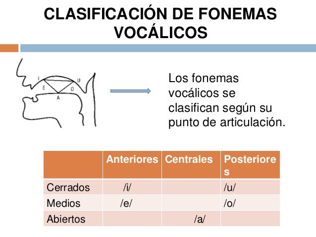 Que Es Un Fonema | Fonemas (cuáles son, tipos y ejemplos) – JEMME