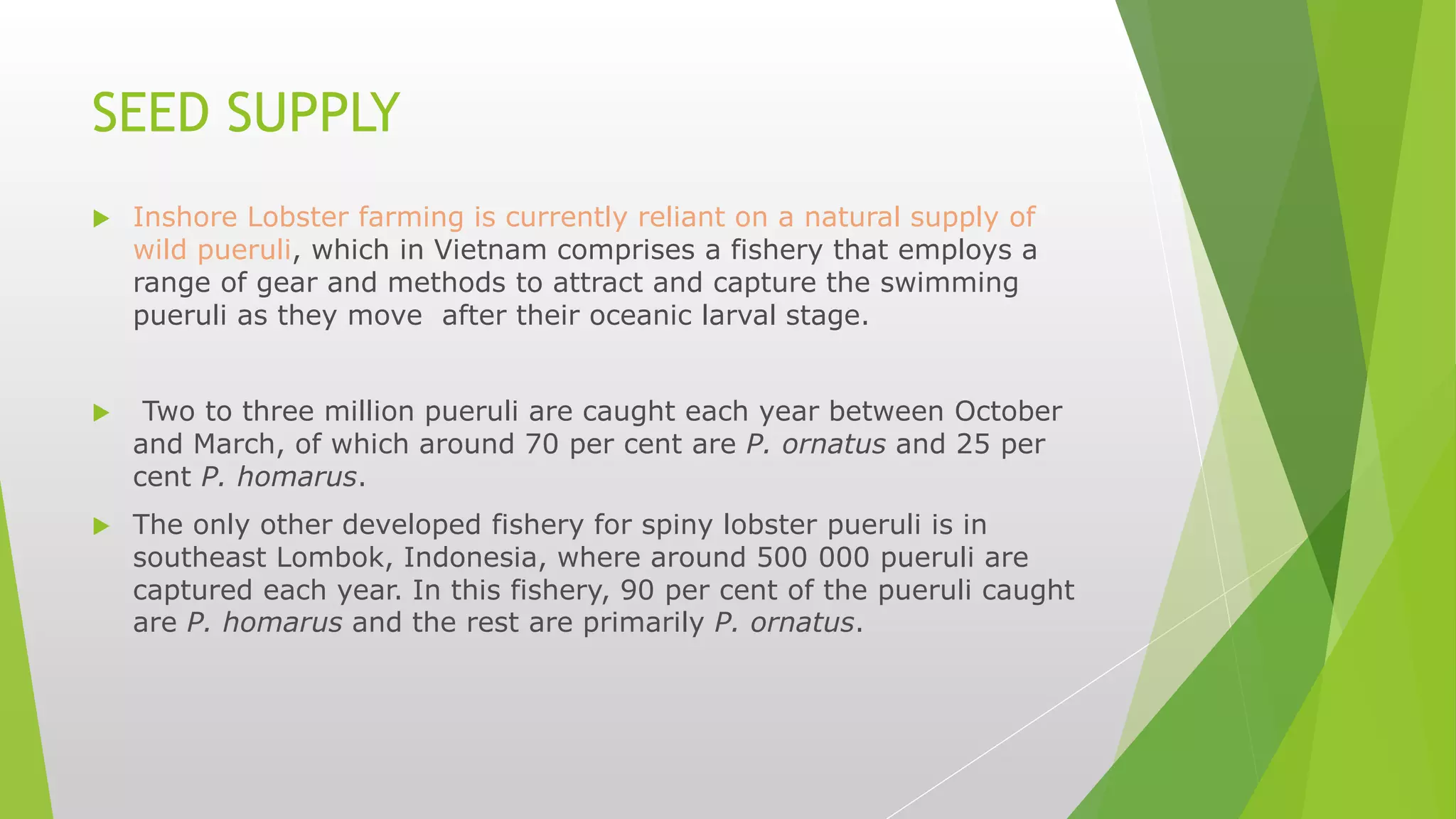 Lobstar culture and its management | PPTX