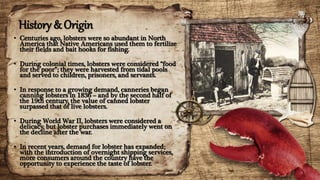 Lobster PowerPoint Presenation | PPTX