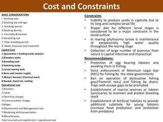 Lobster breeding seedproduction and rearing and fattening in Cages | PPTX