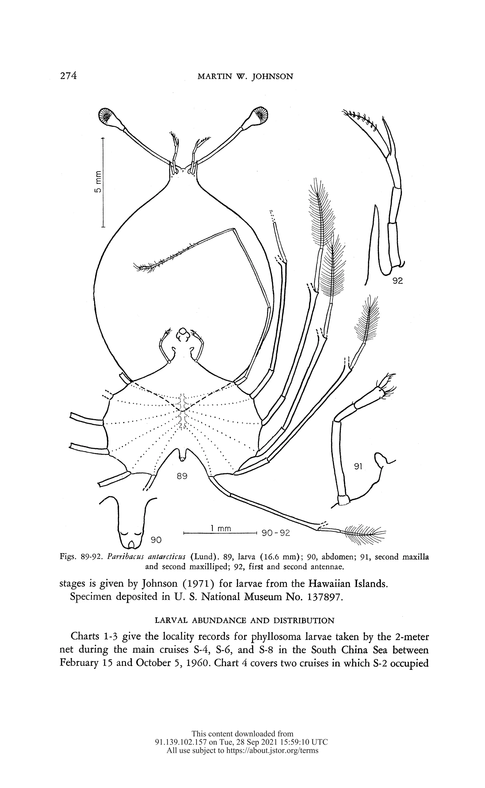 Lobster larvae and their distribution_Johnson 1971.pdf