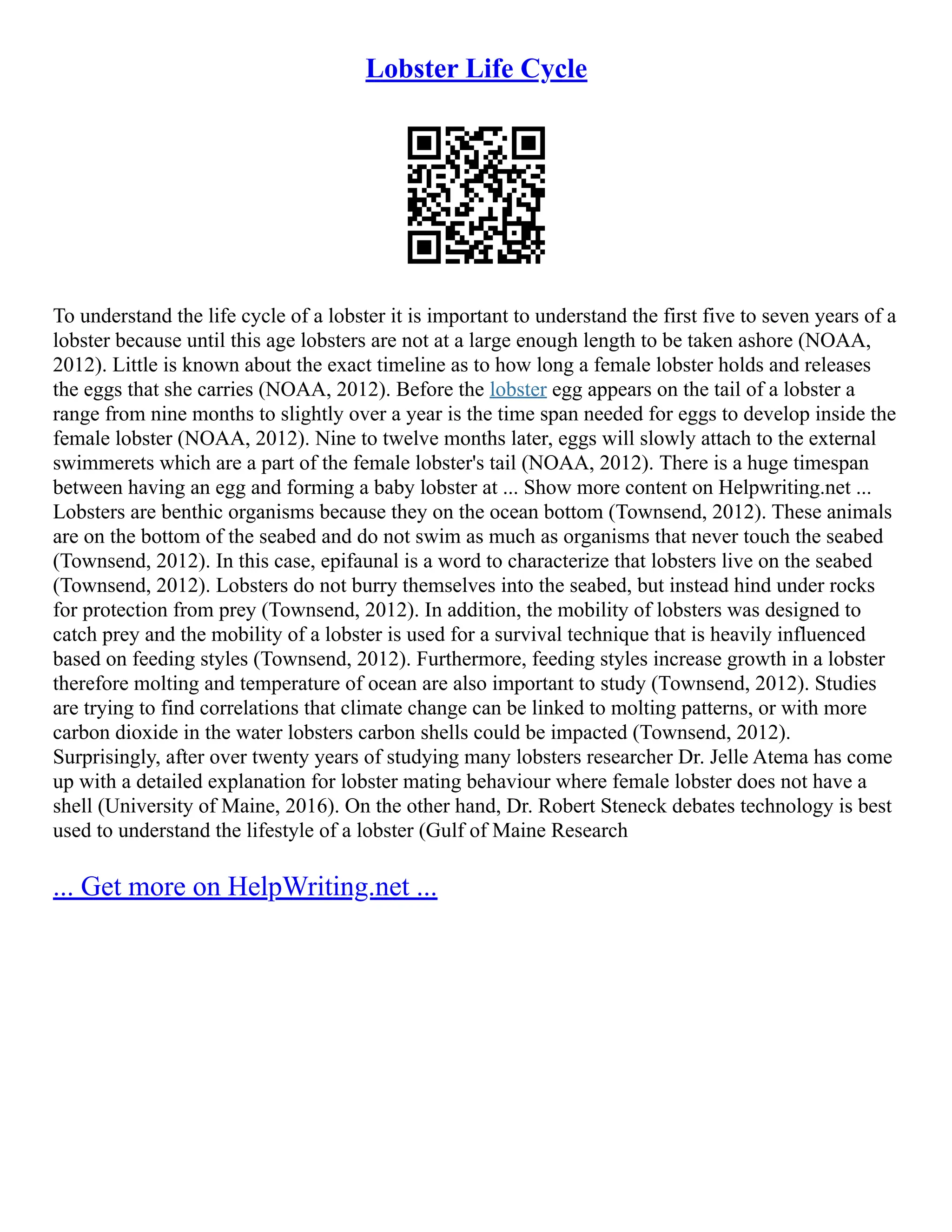 Lobster Life Cycle | PDF