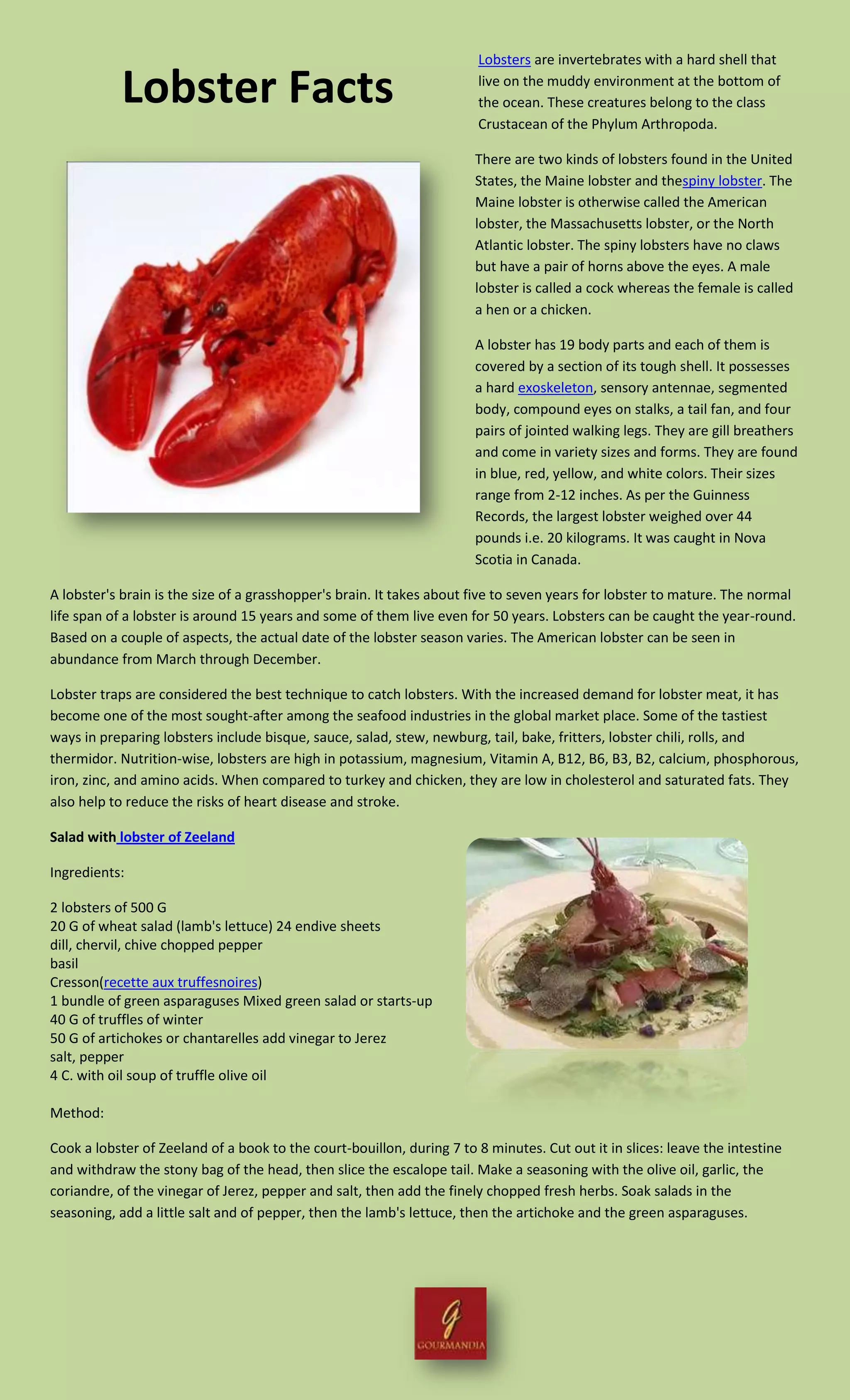 Lobsters | PDF